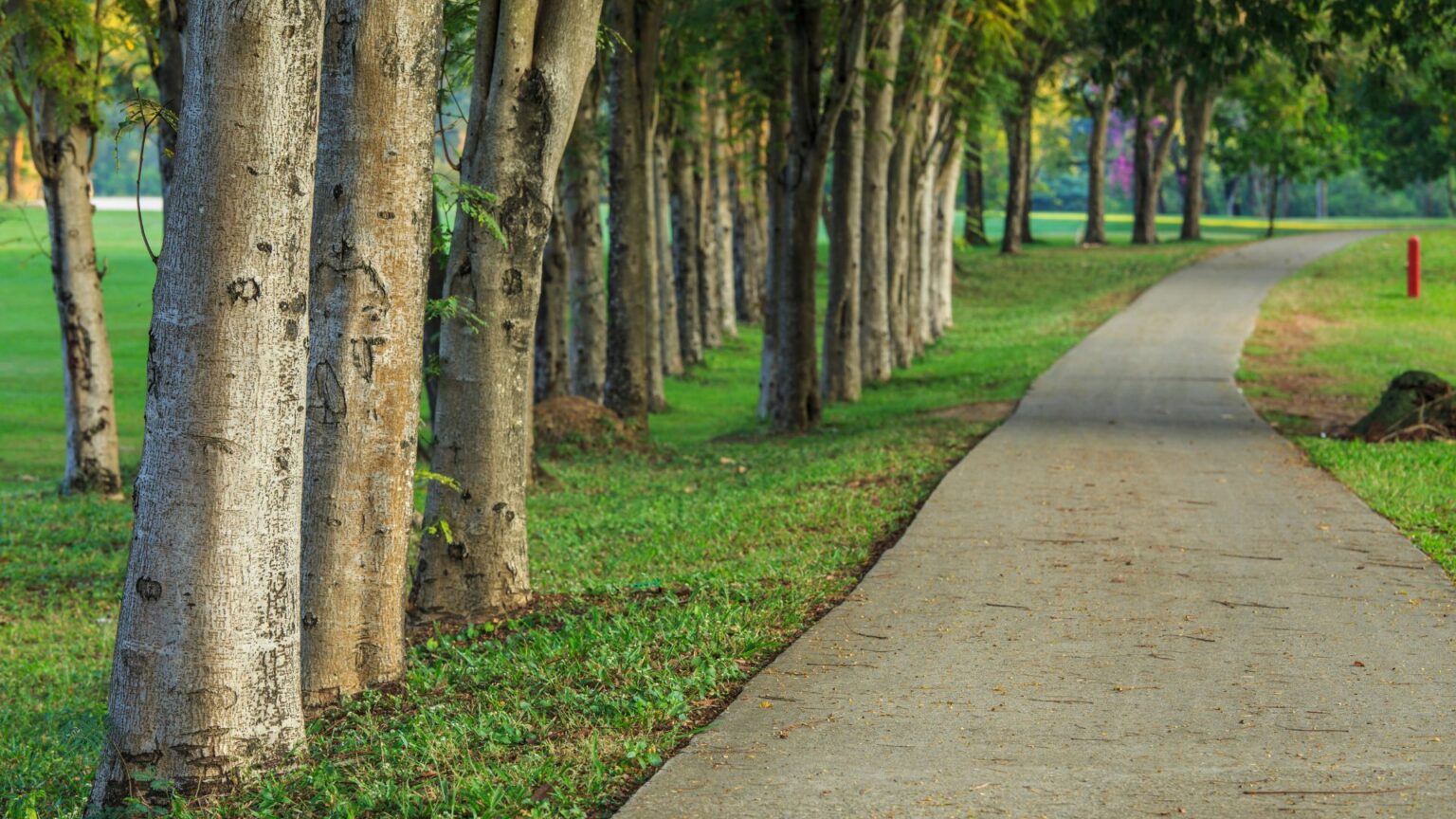 Do I Need Council Approval For Footpaths And Crossings In Auckland ...